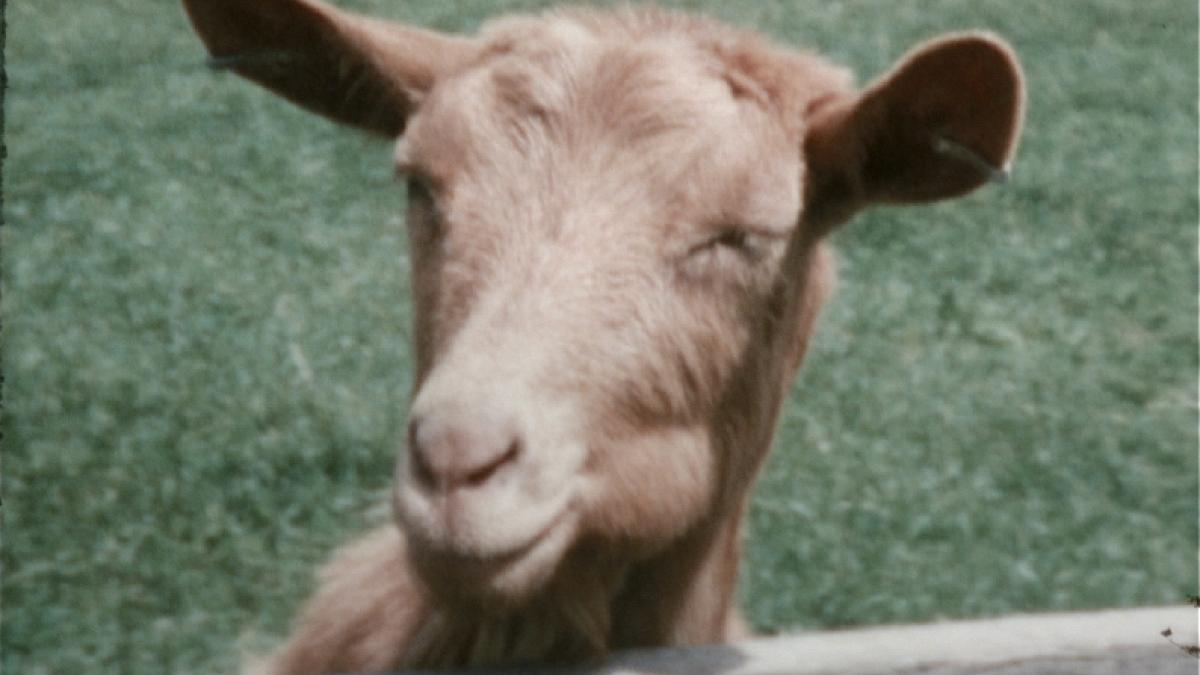 Watch Four Seasons online - BFI Player