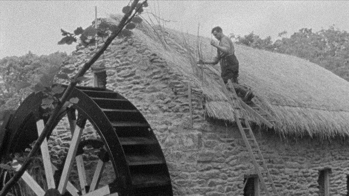 Watch Talybont Show and Corn Cutting online - BFI Player