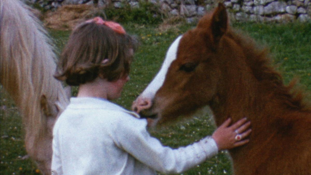 Watch Horse Tale online - BFI Player
