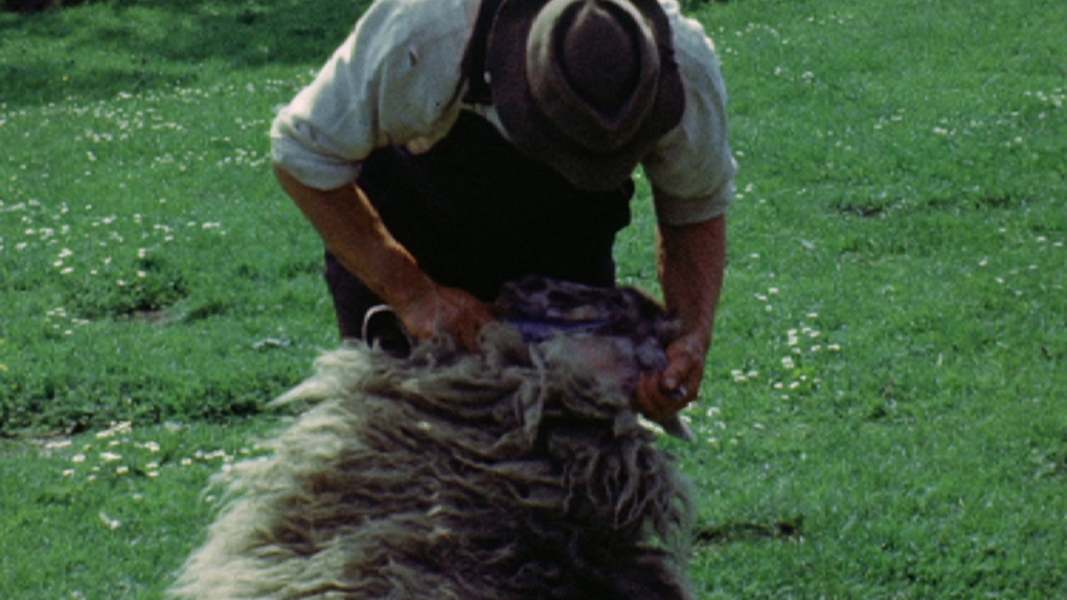 Watch May is Out online - BFI Player