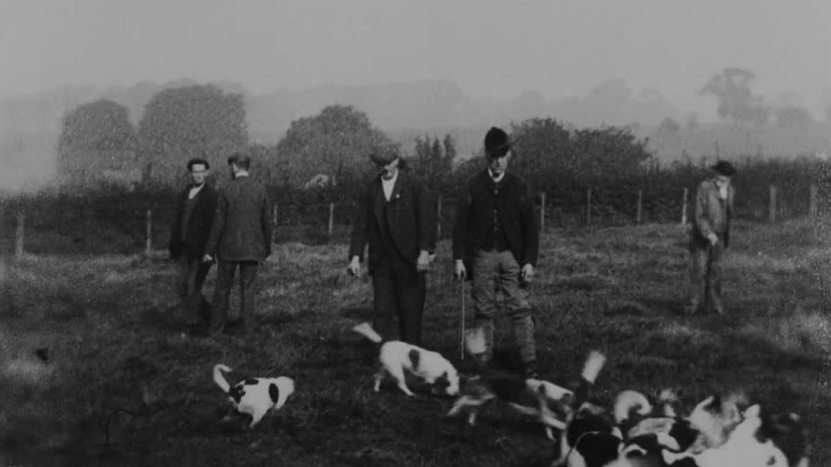 Watch Trip to Sunny Vale Gardens at Hipperholme (1901) online - BFI Player