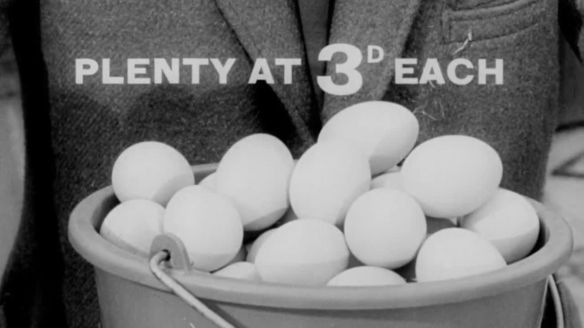 Go to Work on an Egg