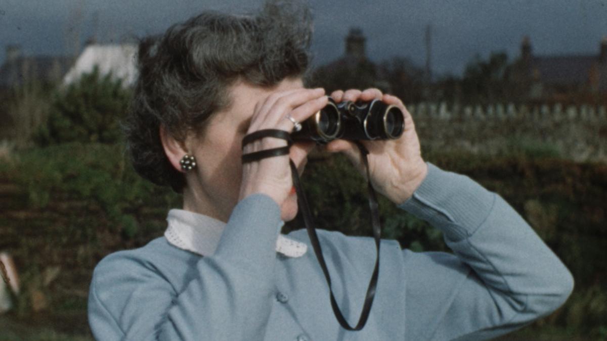 Watch Malltraeth and Menai Bridge Horse Fair online - BFI Player