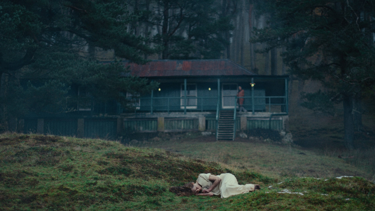 Watch Possum online - BFI Player