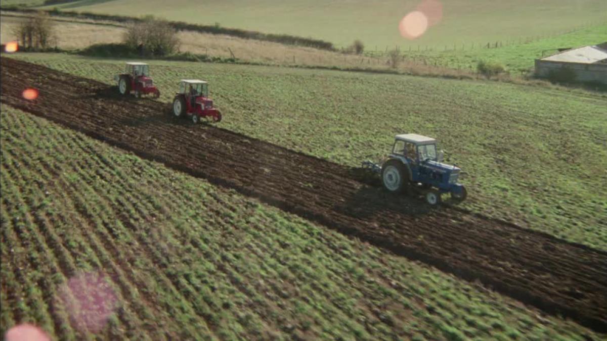 Watch Still Going Well online - BFI Player