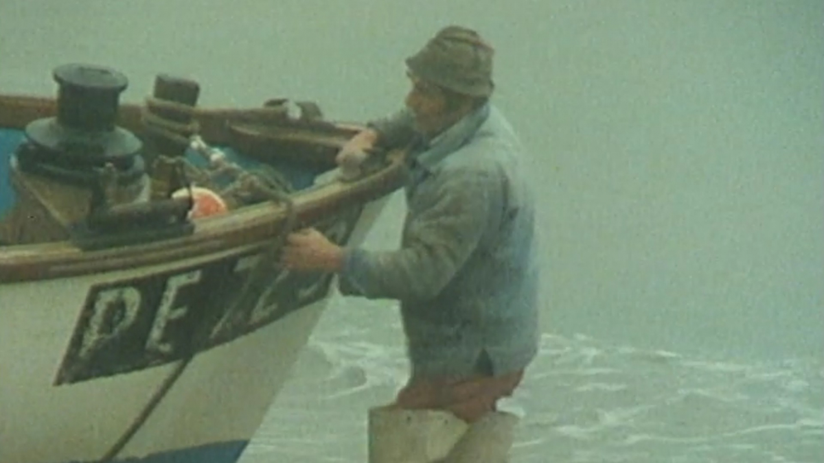 Peter Greenaway shorts