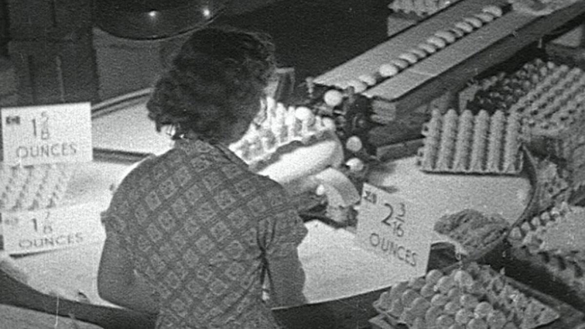 Watch Egg Marketing Board: Tony Hancock (Average Englishman) online ...