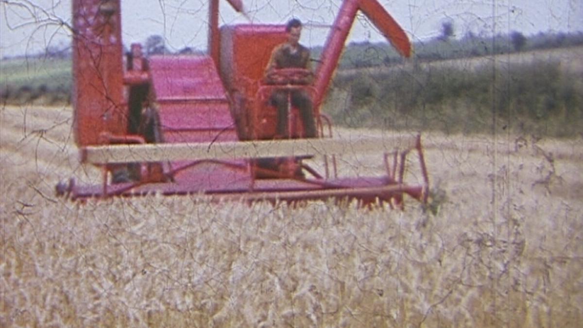 Watch Norfolk Farming online - BFI Player