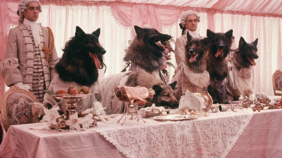 Watch The Company of Wolves online - BFI Player