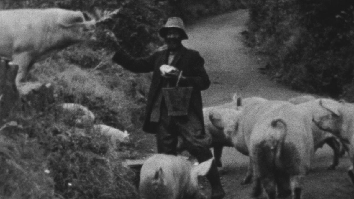 Watch Mr Amos Brown, Pig Keeper online - BFI Player