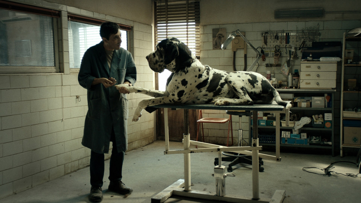 Watch Fish Tank online - BFI Player