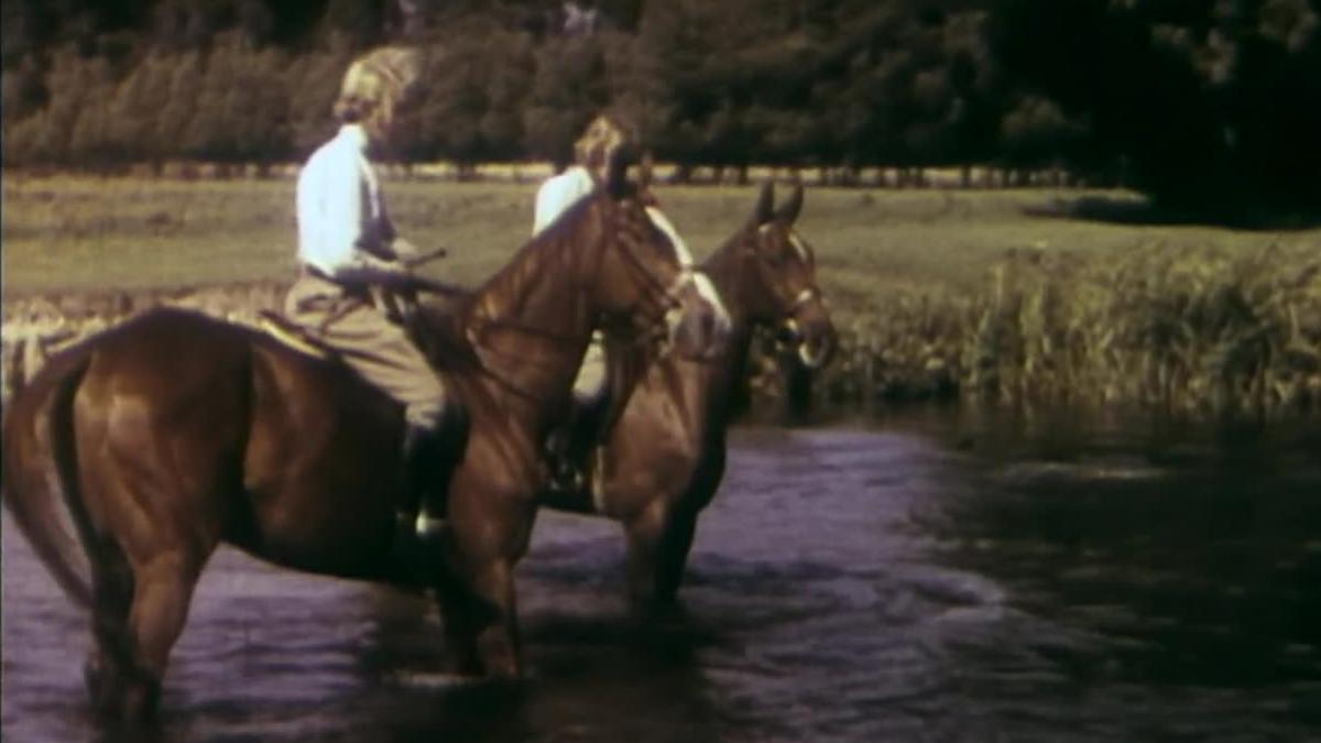 Watch Tower Bridge Road Market... online - BFI Player