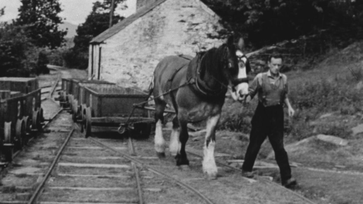 Watch Rails To Talsarn online - BFI Player