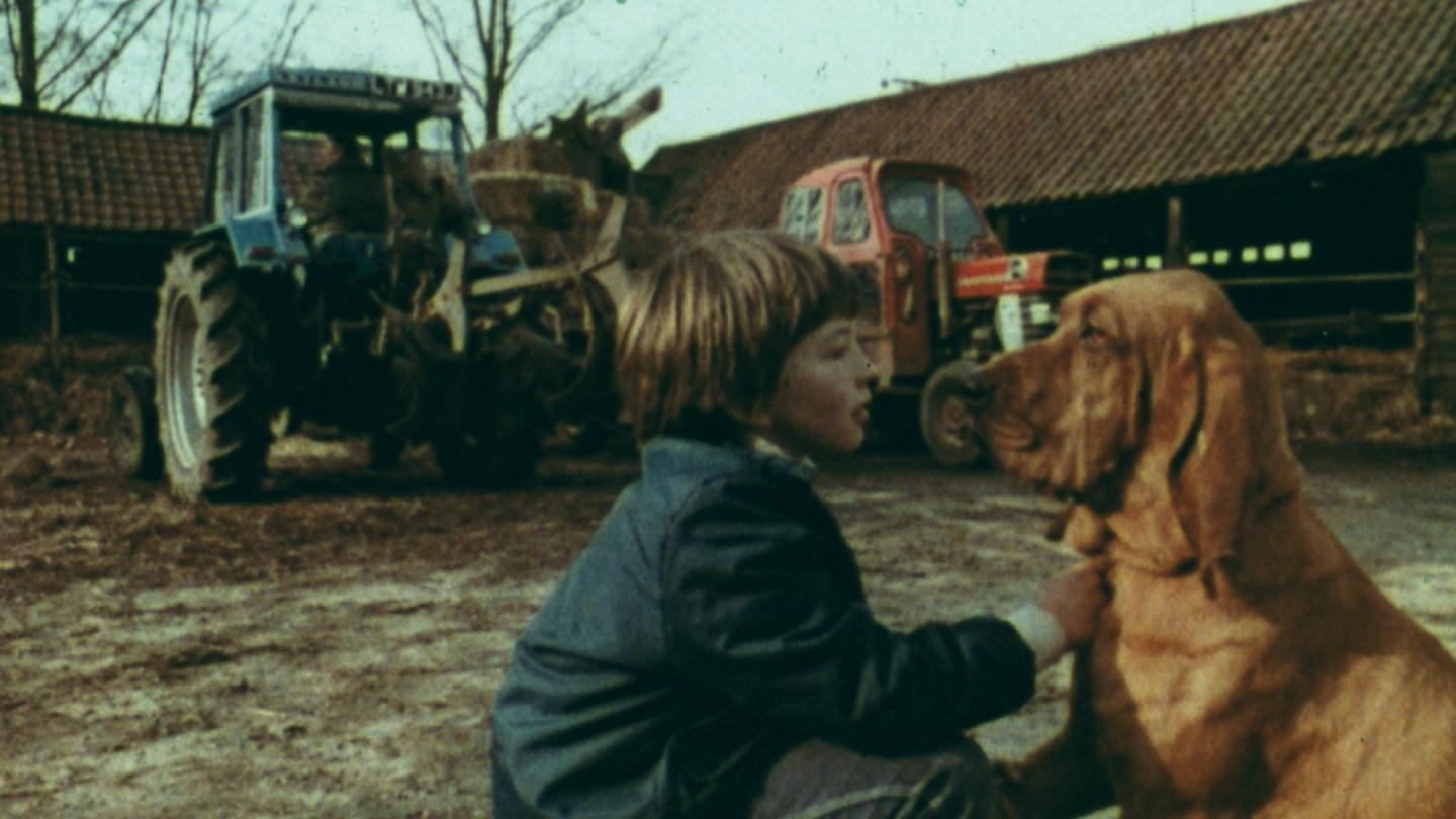Watch Diogelwch ar y Fferm (Safety on the Farm) online - BFI Player