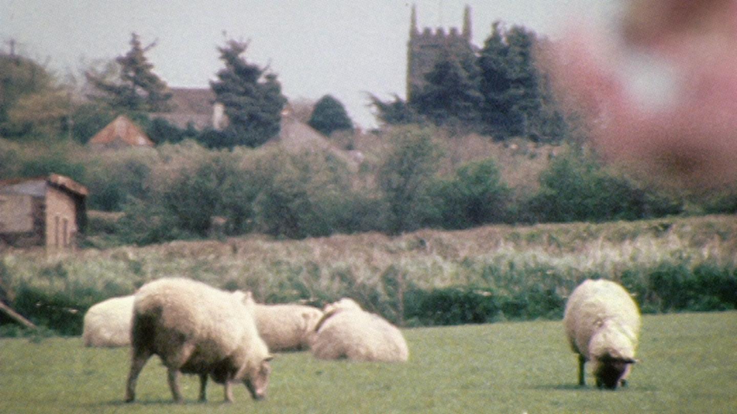 Watch The Beast of Bodmin Moor online - BFI Player