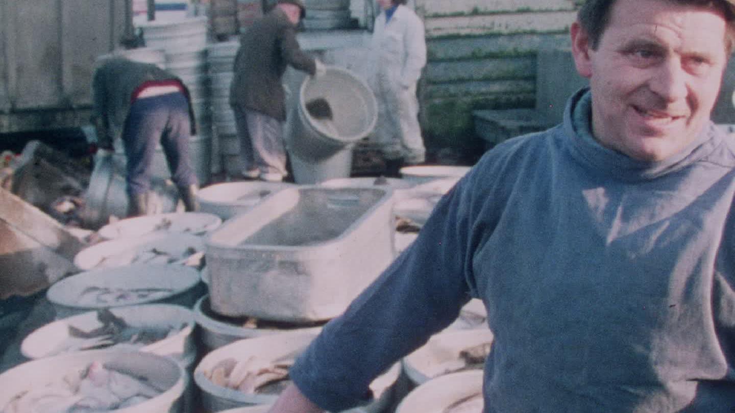 Watch Small Fry online - BFI Player