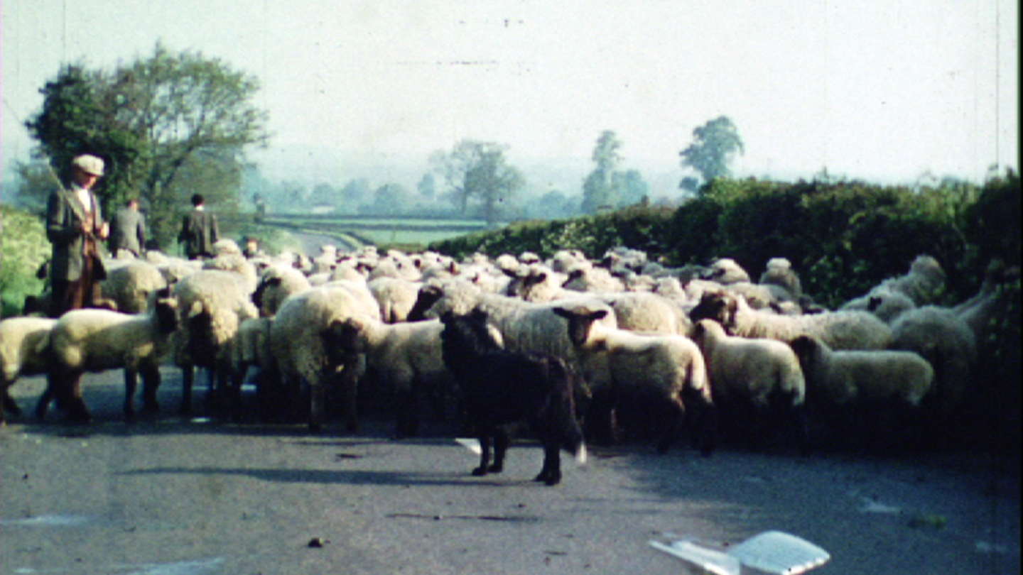 Watch Farming and Flowers in the 1930s online - BFI Player