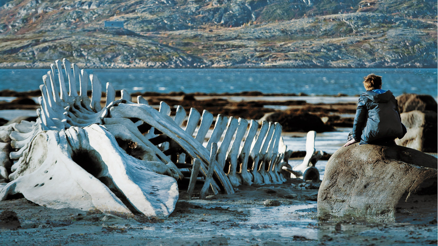 Subscription films on BFI Player