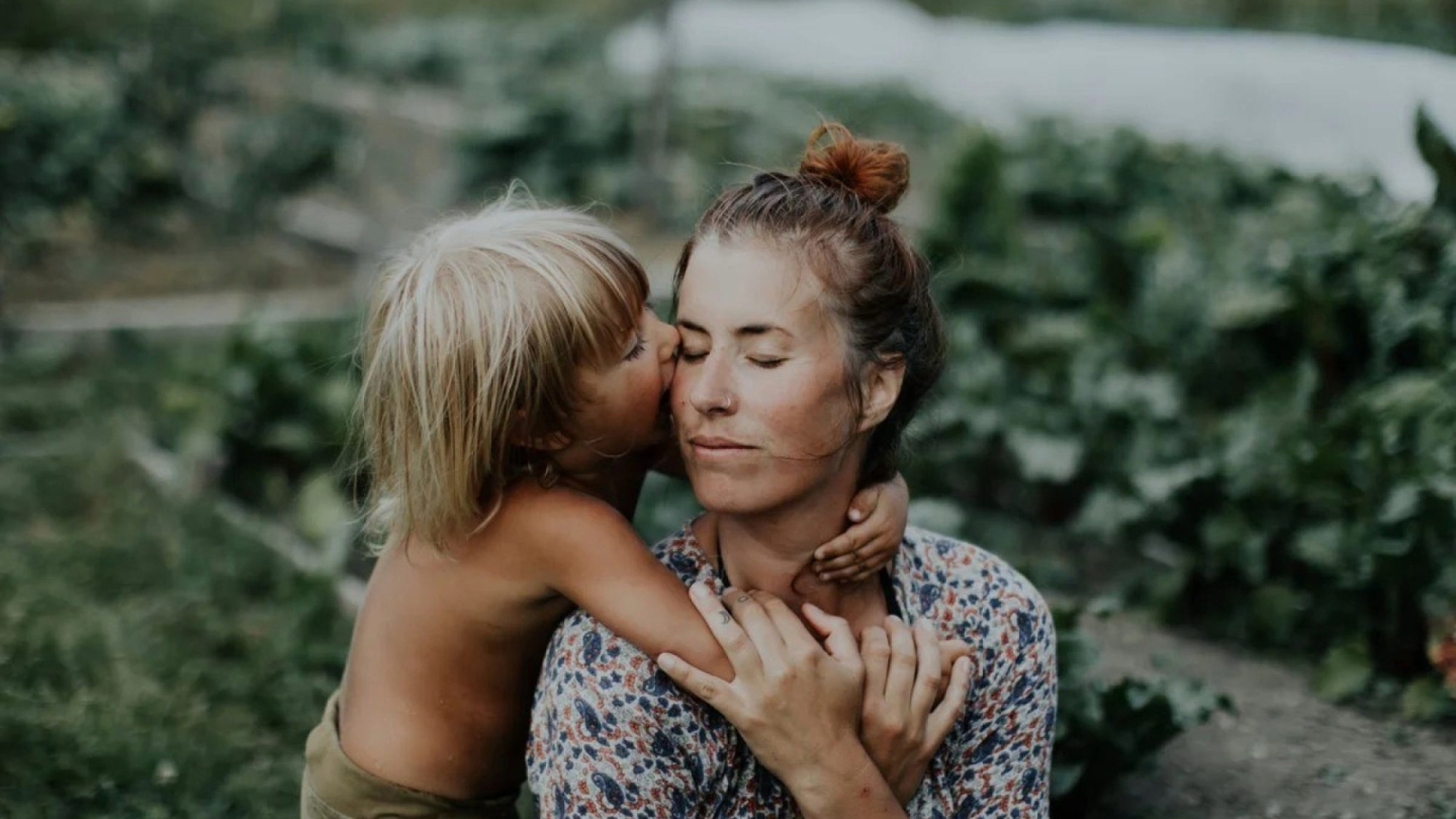 Rentals on BFI Player