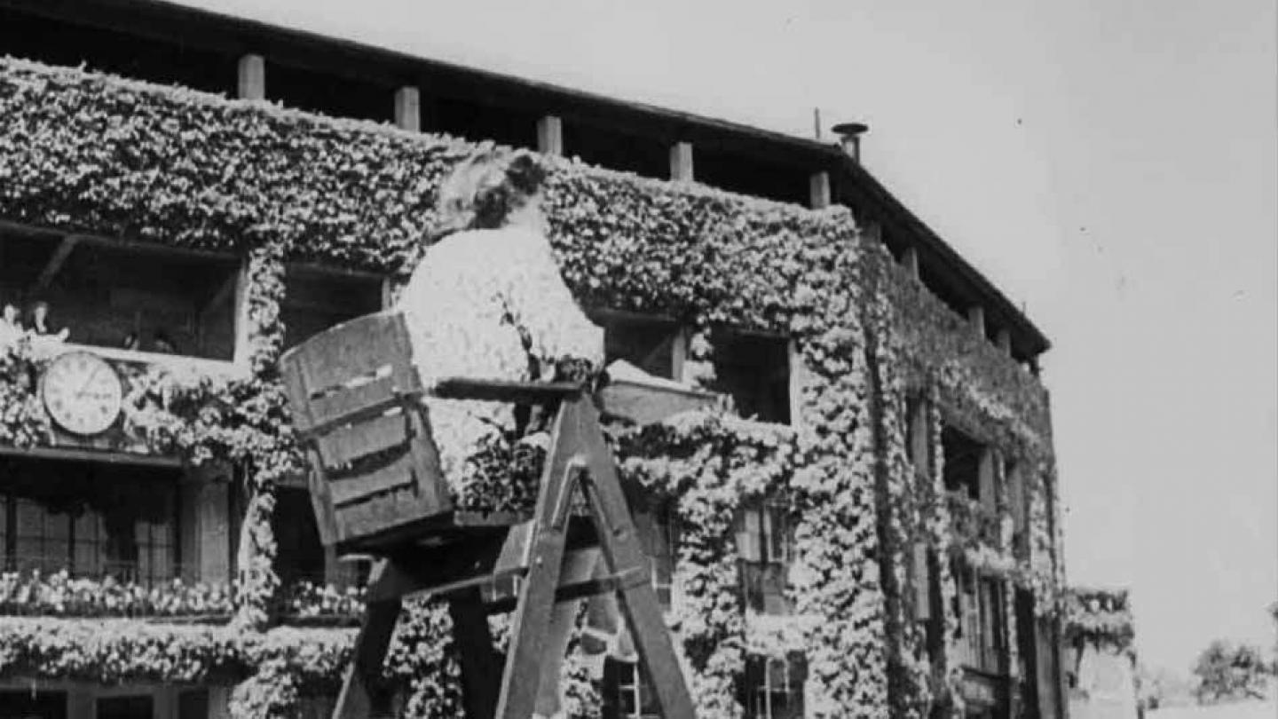 Watch Roger Taylor v Mike Sangster online - BFI Player