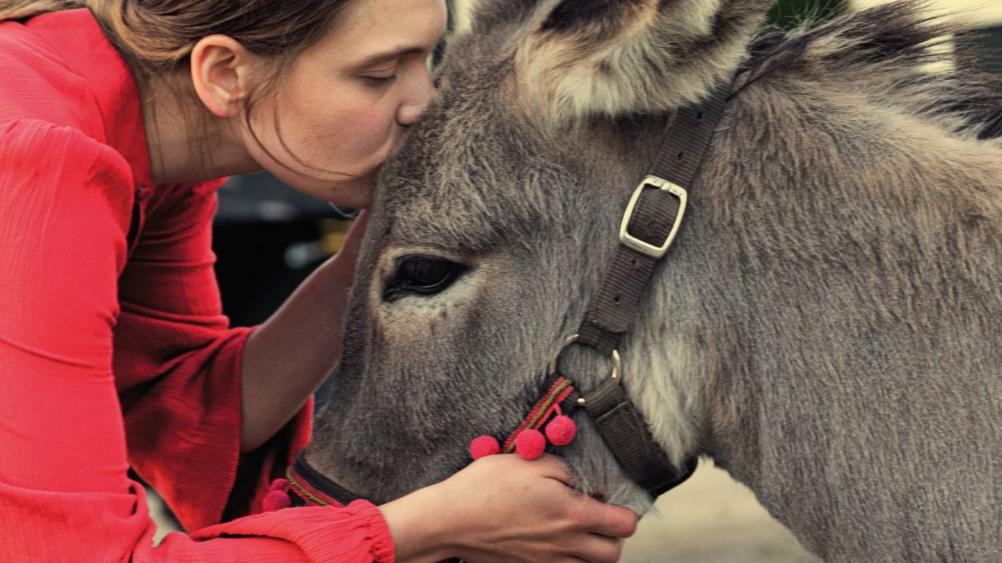 Watch Fish Tank online - BFI Player