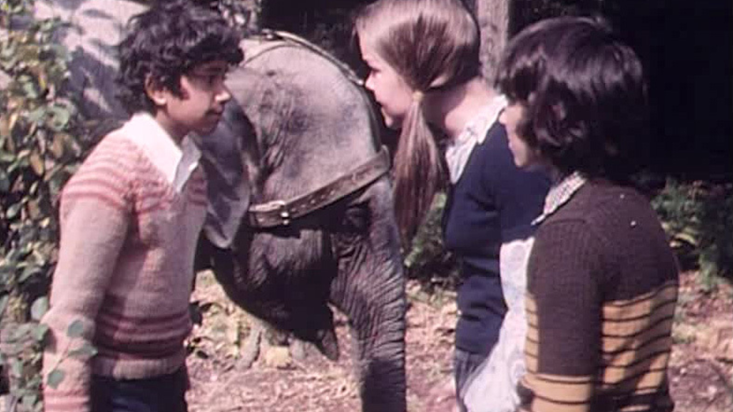 Animals on Film