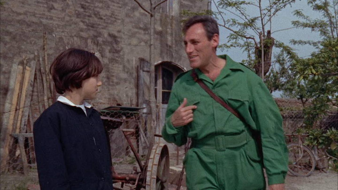 Watch Private Life Of The Gannets Online Bfi Player