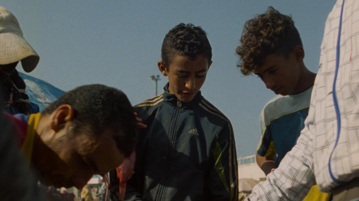 Watch Loose Fish online - BFI Player