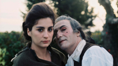 Watch The Handmaiden online - BFI Player