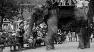 Watch Palace Pandemonium online - BFI Player