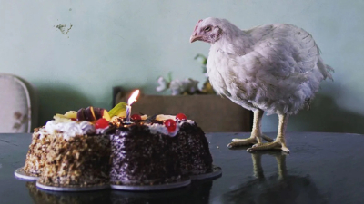 Watch Feathers online - BFI Player