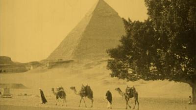 Watch Palace Pandemonium online - BFI Player