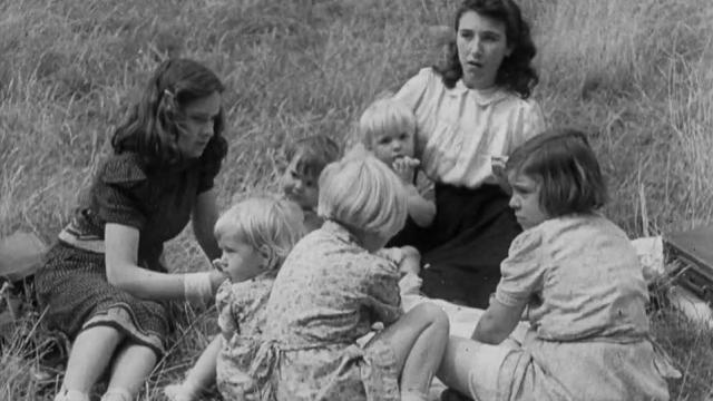 Public Information Films