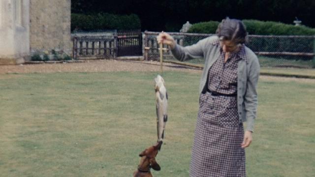 Watch Distinguished Visitors Enjoy the Fly-Fishing at Bossington House ...