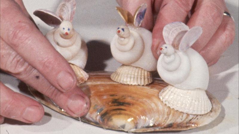 Watch To Cane a Trout online - BFI Player