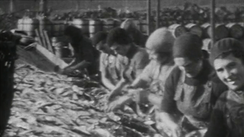 Watch Great Yarmouth Dockside Railway online - BFI Player