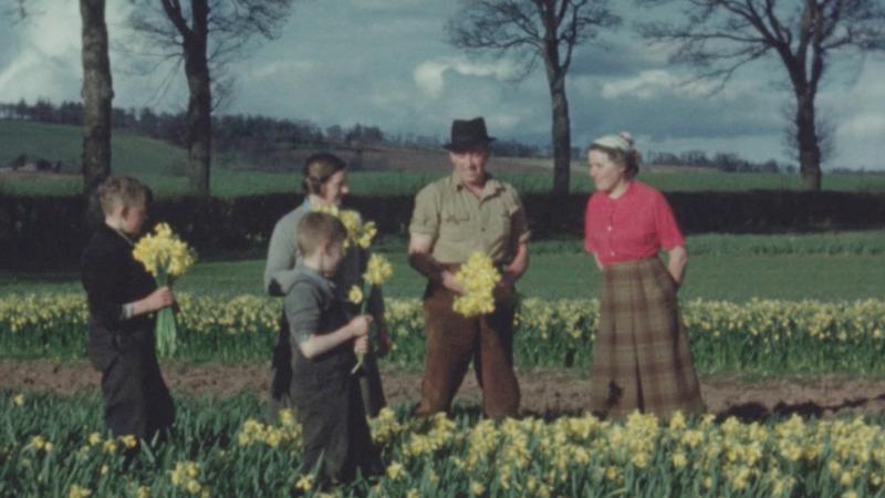 Watch Gumber Farm online - BFI Player