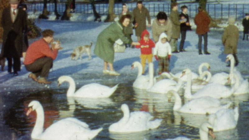Free films on BFI Player