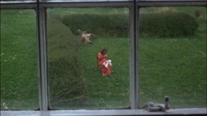 Peter Greenaway shorts