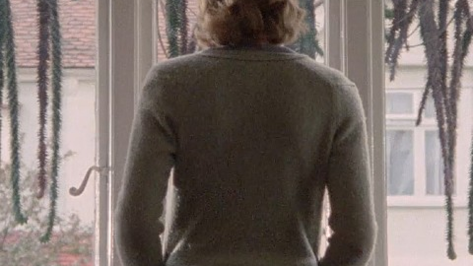 Peter Greenaway shorts