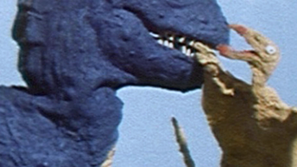 Stop Motion