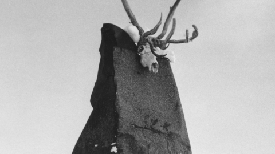 Roots, Rituals and Phantasmagoria