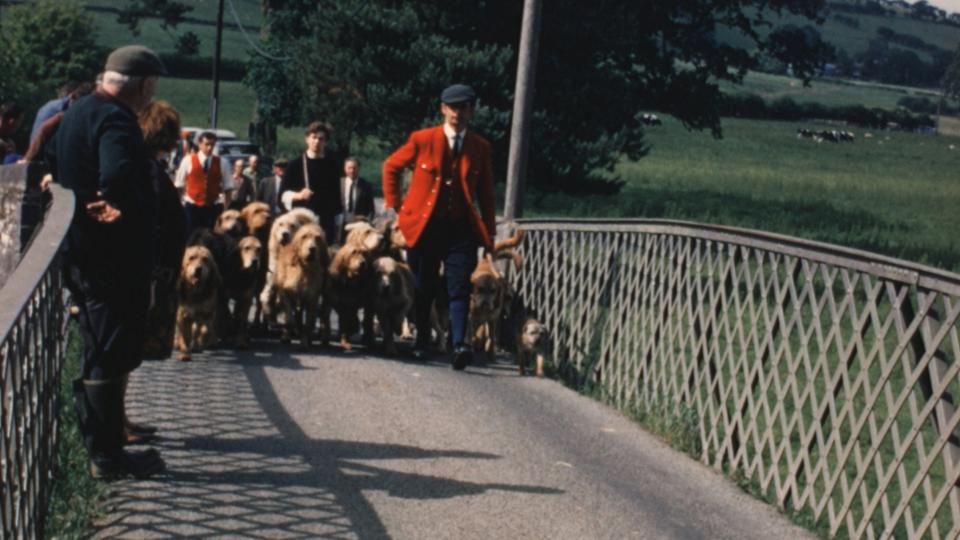Watch Castell Gorfod Farm online - BFI Player