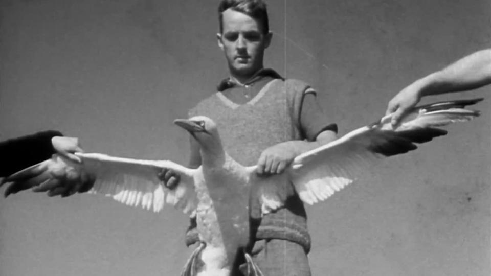 Free films on BFI Player