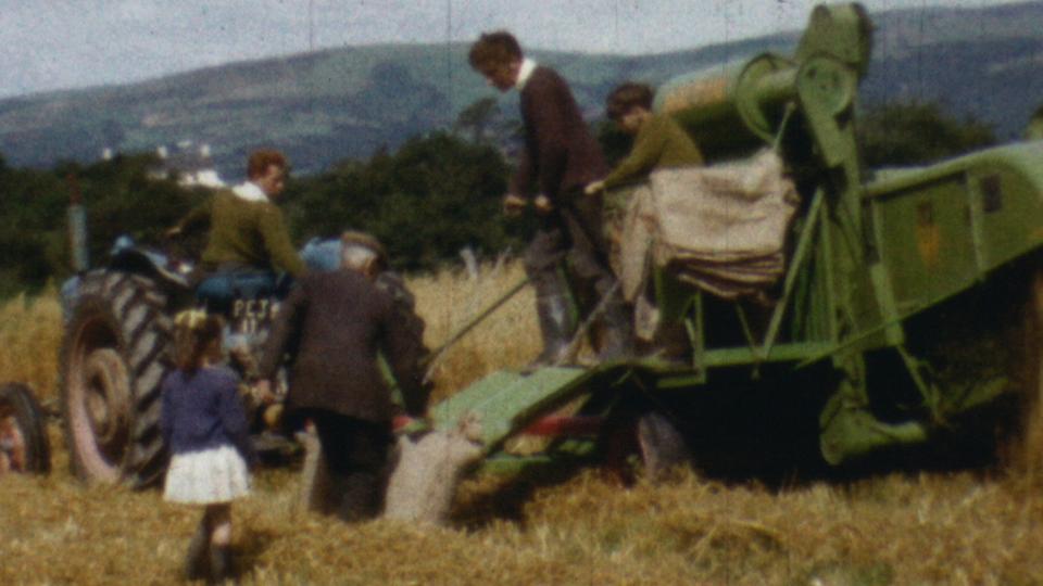 Watch Talybont Show and Corn Cutting online - BFI Player