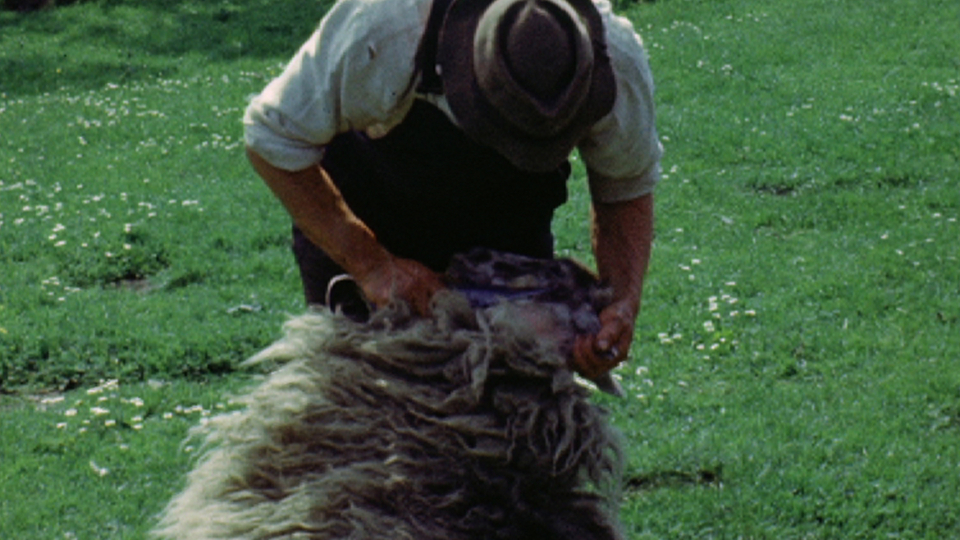 Free films on BFI Player