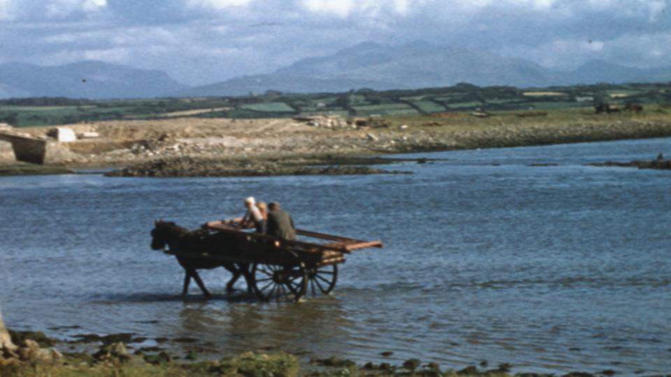 Watch Malltraeth and Menai Bridge Horse Fair online - BFI Player