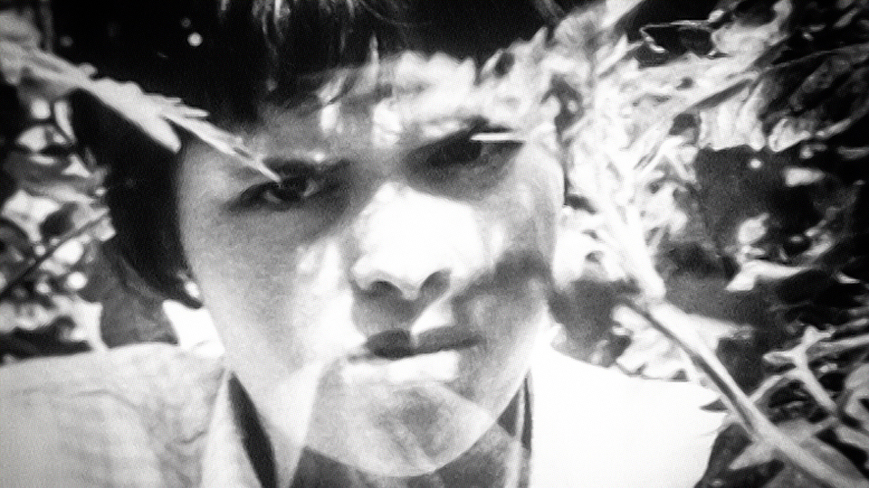 Watch Lufton Manor for the Learning Disabled online - BFI Player