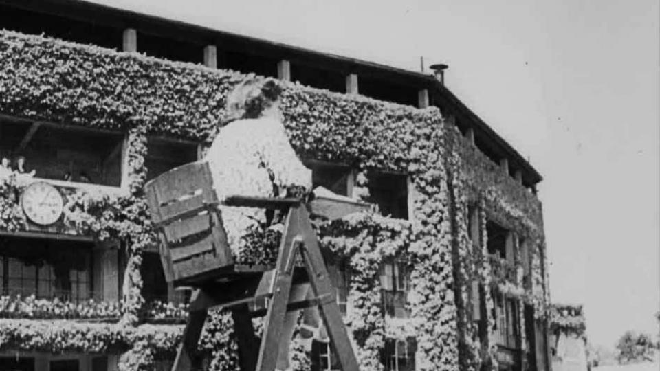 Watch Sue Mappin Interview online - BFI Player