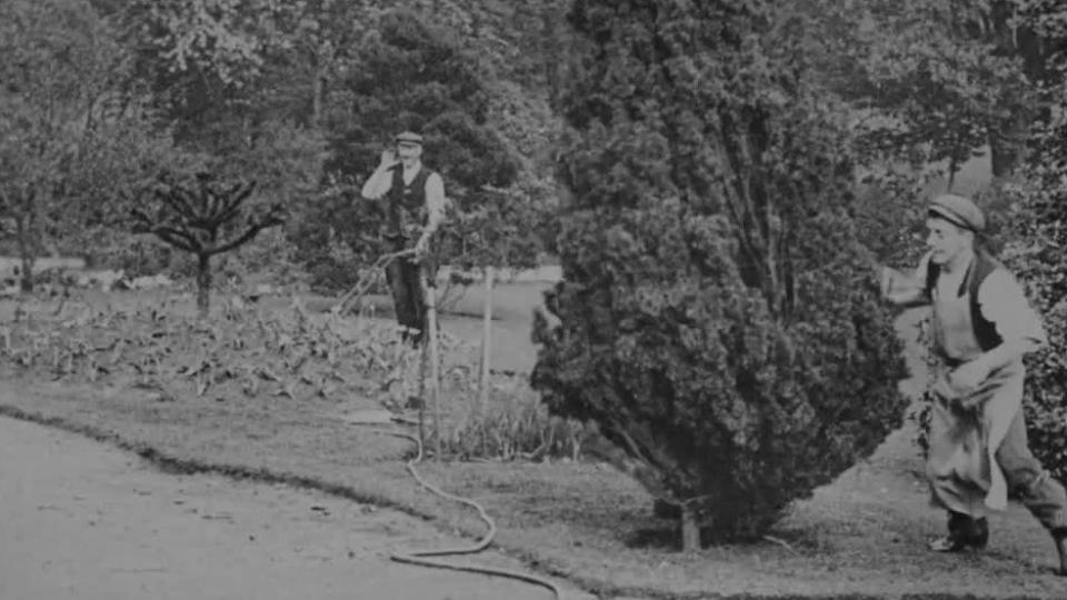 Watch The Biter Bit online - BFI Player